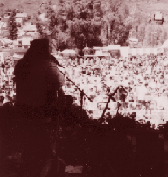 Partial Capo Home Page